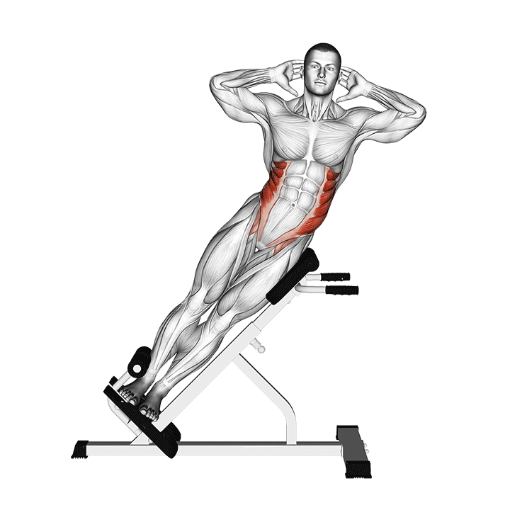 Crunch Lateral Inclinado • FitCron